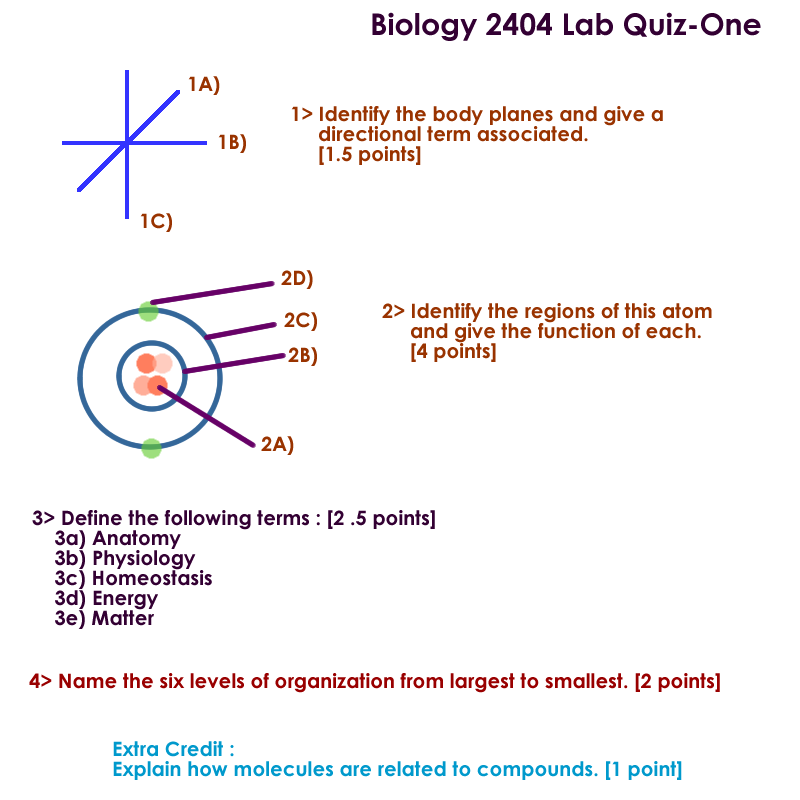 faculty.collin.edu - /mweis/A&P Basics/Lab/Basics Lab Quizzes/Lab quizzes with links for drw or ps/